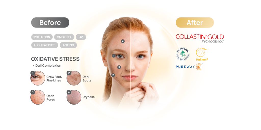 Collastin® Gold Pycnogenol® - Life Factor