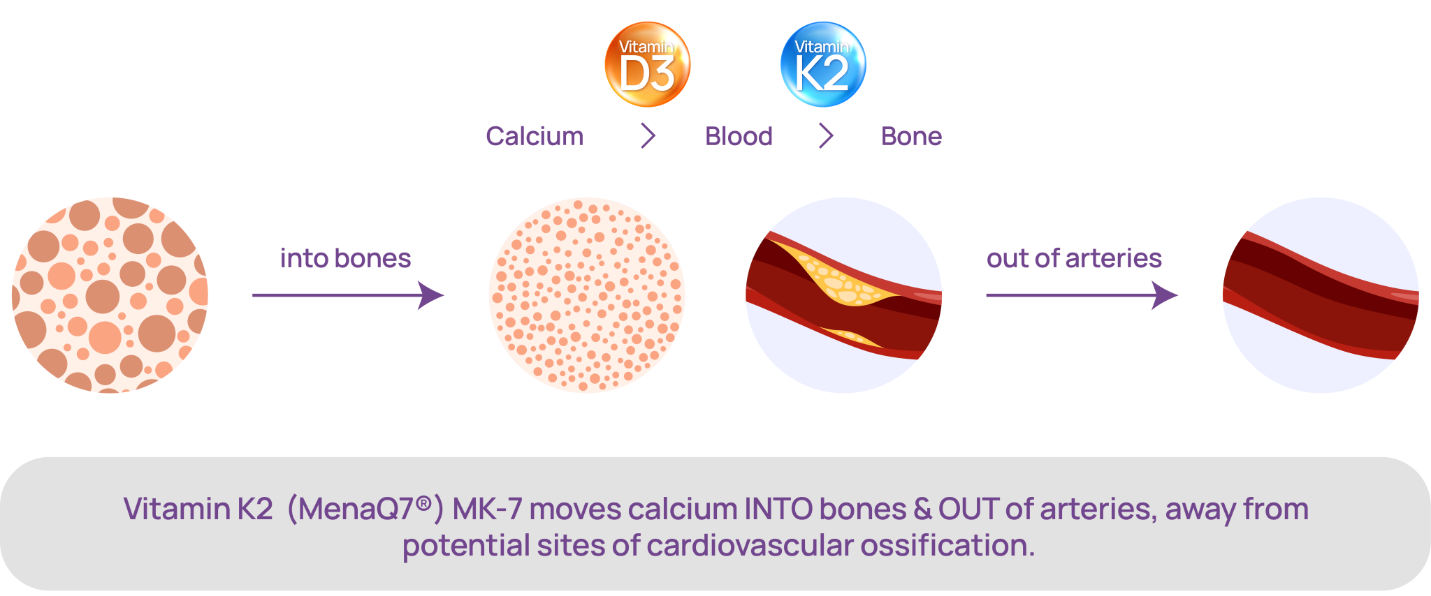OsteoLiv® - Life Factor